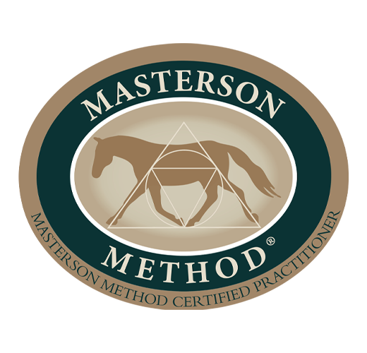 AJB Equine - Masterson Method Certified Practitioner in Dubai, Sharjah ...